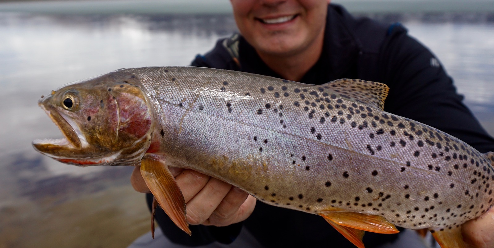 GRITTY BOWMEN PODCAST - Drop Jaw Flies