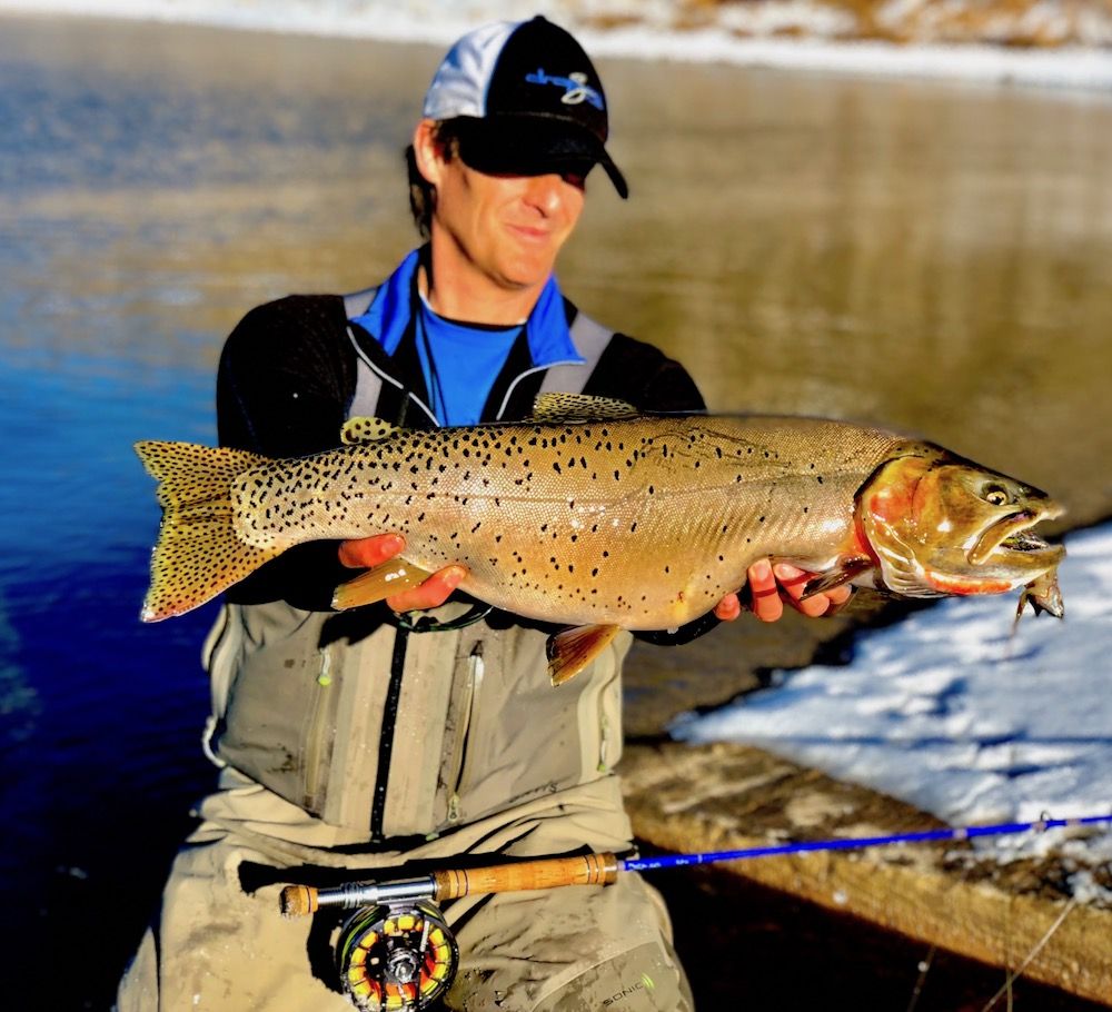 Drop Jaw Flies - Drop Jaw Flies